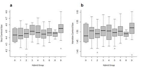 Figure1 Box Plot Of Centroid Size Cs Per Hybrid Group Plot A