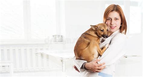Ветеринар и животные стоковое изображение изображение насчитывающей экзамен 69789361