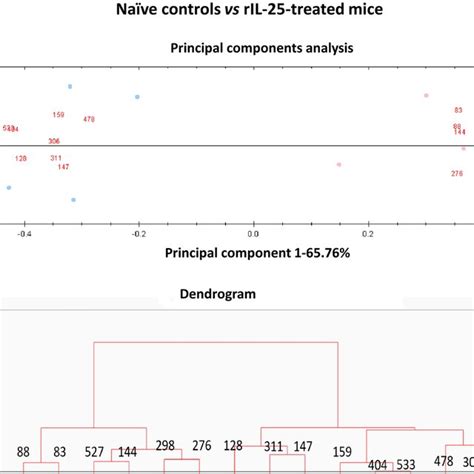 Multivariate Statistical Analysis Applied To The Set Of 41 Manually Download Scientific Diagram