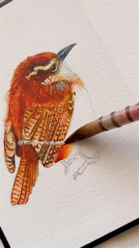 Realistic Bird Drawing With Colored Pencils Artofit