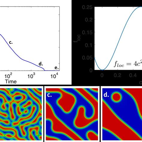 Examples Of Irradiation Induced Microstructure Evolution With