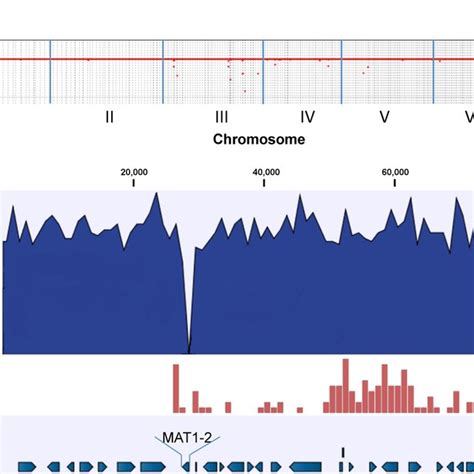 Genomic Comparison Of Afb62f9 And Afb62 A Whole Genome Coverage Plot Download Scientific