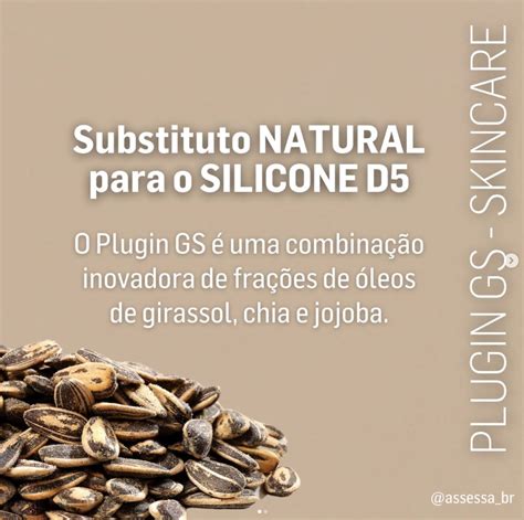 Plugin Gs Assessa