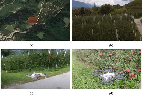 Figure 1 From A Seamless Deep Learning Approach For Apple Detection Depth Estimation And