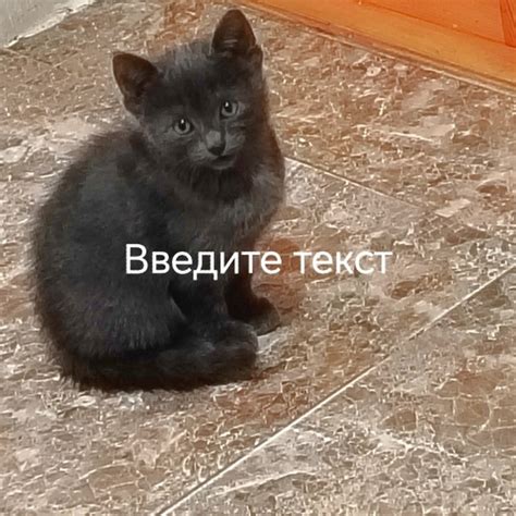 Nikoloz Pubgi Mobaile Youtube