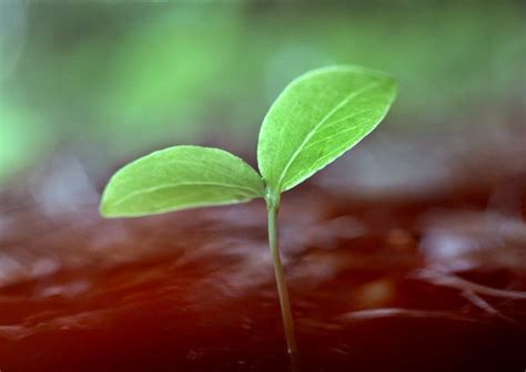 Krishna Mohan Kolluru Posted On Linkedin