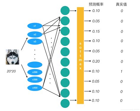 卷积神经网络 用pytorch构建神经网络 卷积神经网络用什么软件 csdn博客