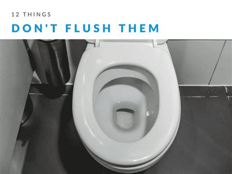 Nemo Gets Flushed Down The Toilet At Eunice King Blog