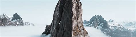 Multitude Culture Linkedin