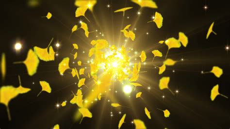 leaves particle effect 29890576 stock video at vecteezy
