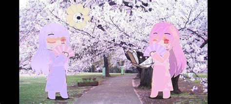 Meet My New Ocs The Sakura Twins Rgachaclub