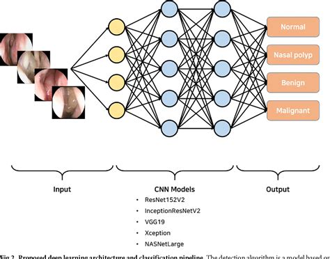 Figure 2 From Deep Learning Algorithm For The Automated Detection And Classification Of Nasal