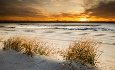 Welcome To Lbi Long Beach Island Nj