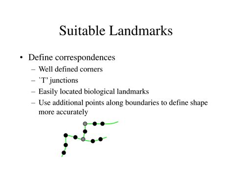 Ppt Statistical Shape Models Powerpoint Presentation Free Download Id 9327395