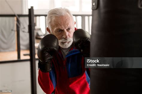 권투 장갑을 가진 체육관 훈련의 수석 60 69세에 대한 스톡 사진 및 기타 이미지 60 69세 65 69세 건강한 생활방식 Istock