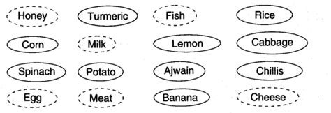 Ncert Solutions For Class 3 Evs The Story Of Food Learn Cbse