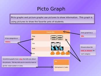 Editable Types Of Graphs Powerpoint By Jessica Lee TPT