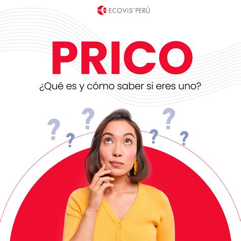 Ecovis Perú 🏢 ¿qué Son Las Empresas Prico Y Cómo Saber