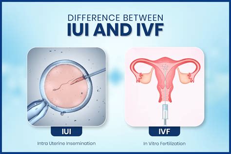 Difference Between IUI and IVF: What You Should Know