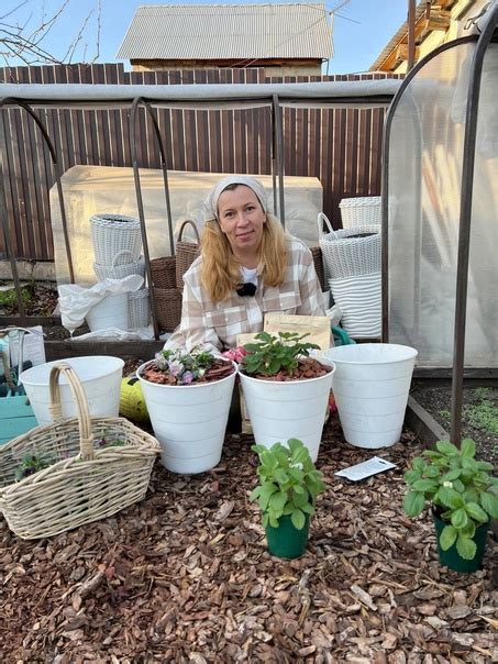 Как оригинально украсить свой сад и создать декоративные композиции в кашпо из однолетних