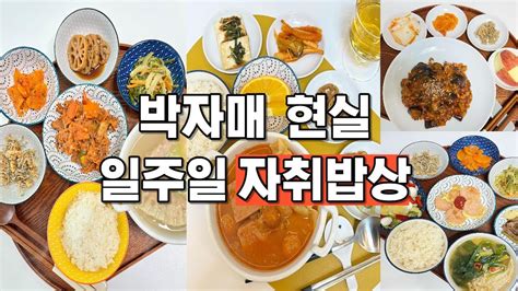 박자매 일주일 자취밥상 매일 저녁 집밥 차려먹기 프로자취러 외식금지 Youtube