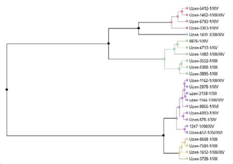 Ward Dendrogram For Visual Comparisons Of Compositions Samples Based