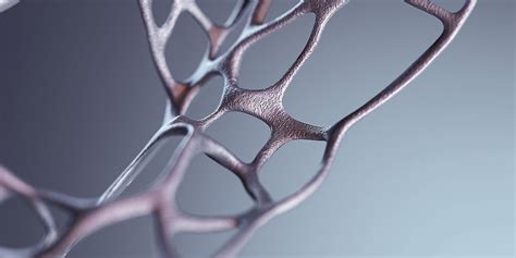 Bionic Design Mercedes Benz Group Sustainability Resources