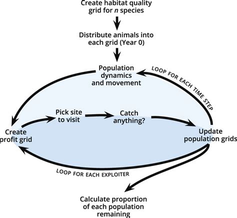 General Simulation Framework Download Scientific Diagram