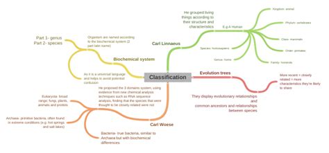 Classification Coggle Diagram