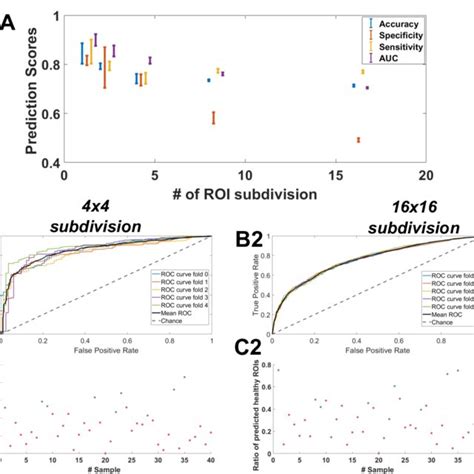 Classification Results With Feature Engineering Approach With Roi