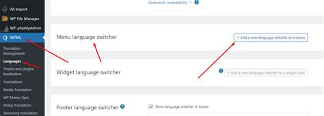 Flag In The Menu Wpml