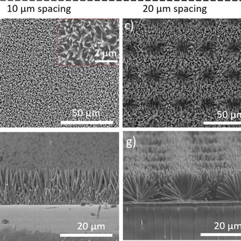 Morphology Characterization Of Zno Nanorods Patterns Prepared By Download Scientific Diagram