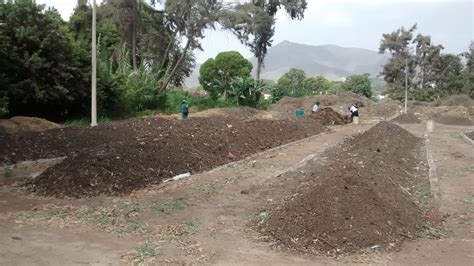 Windrow Composting Treating Organics
