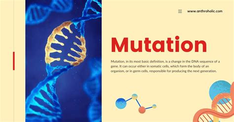 What Is Mutation In Evolutionary Biology Anthroholic