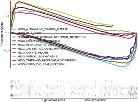 Gene Set Enrichment Analysis Gsea Functional Analysis Gsea Suggested Download Scientific