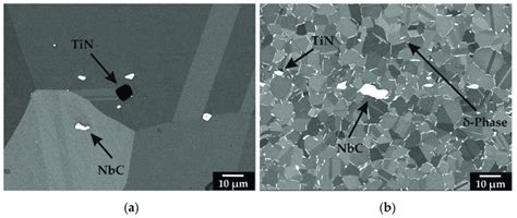 sem microscopy of the microstructure a batch 1 b batch 2