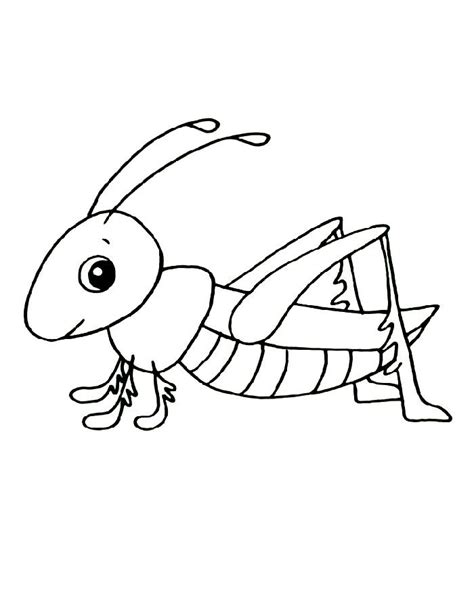 Grasshopper Coloring Pages Free Printable Pdf