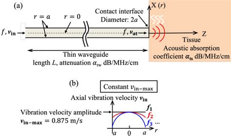 Theoretical Model A A Proposed Model Of Dplus With A Long Thin
