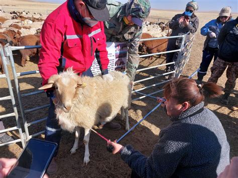 Бог мал ангилагч шинжээч бэлтгэх сургалт явууллаа