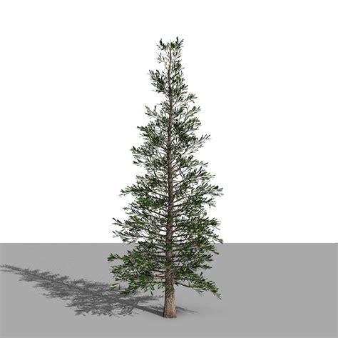 Arquitreepack01 9 Trees Detailed Scalable On Behance