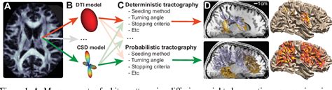 figure 1 from learning macroscopic brain connectomes via group sparse