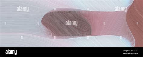 Abstract Dynamic Curved Lines Modern Header Design With Silver Pastel
