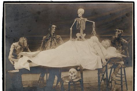 Gothic Tea Society The Art Of Dissection