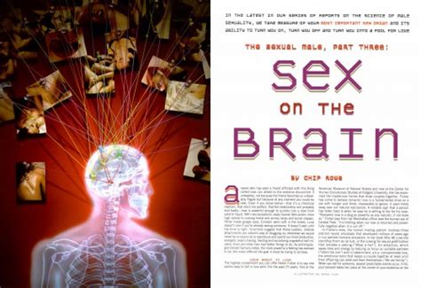 The Sexual Male Part Three Sex On The Brain