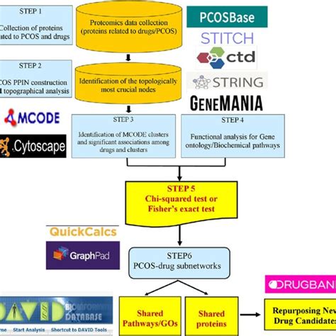 Workflow A Graphical Overview Of The Workflow Download Scientific Diagram