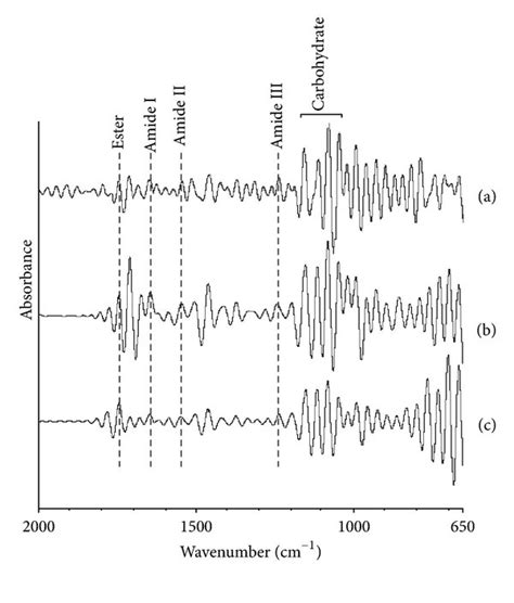 Fourier Self Deconvolution Ft Ir Spectra In The 2000650 Cm⁻¹ Region In