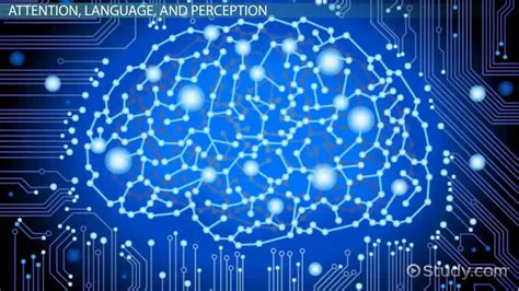 Cognitive Function Definition Examples And Assessments Lesson