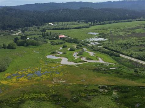 Restoring Tidal Wetlands Inclusive Process Based Restoration In Working Landscapes Salmonid