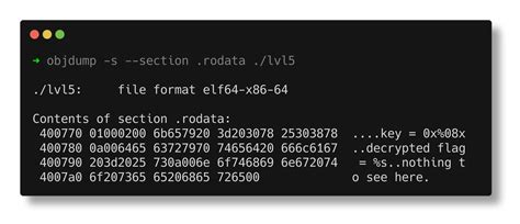Ctf Challenge Walkthrough From Practical Binary Analysis K4n3ki