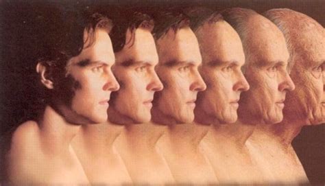 The Science Of Facial Ageing